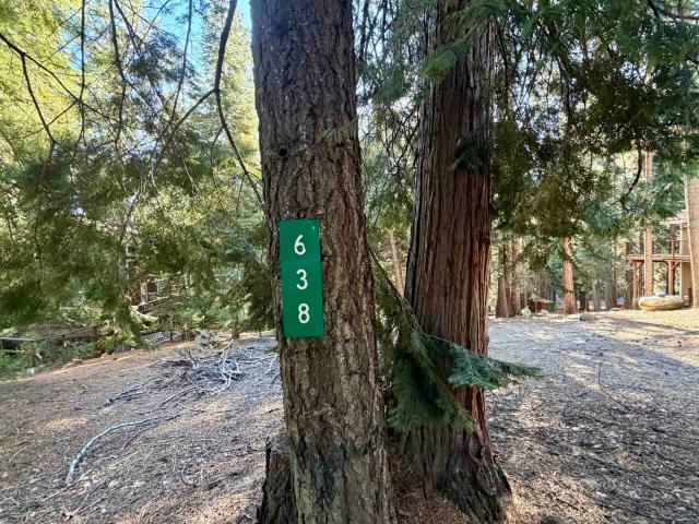 638 Pine Canyon Rd, Lake Almanor, CA 96137 | MLS #2600