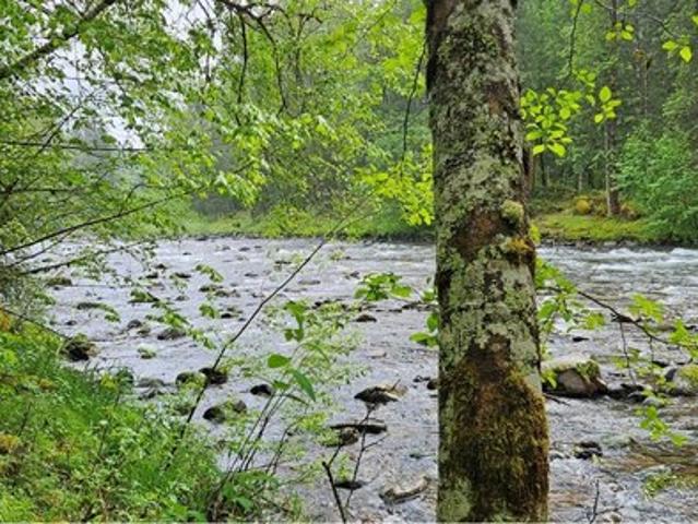 63956 E Barlow Trail Rd, Rhododendron, OR 97049
