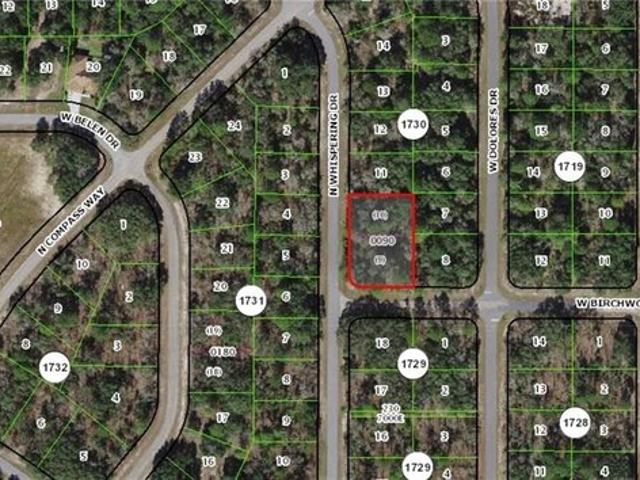 6397 N Whispering Dr, Dunnellon, FL 34434