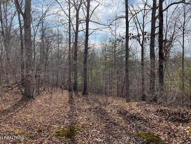 67.86 Ac Junior Cox Rd, Deer Lodge, TN 37726