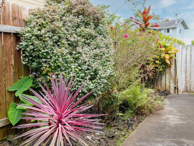 67 1258 Panalea St, Kamuela, HI 96743 | MLS #729579