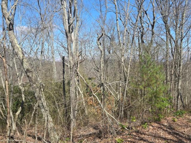 67 Wolf Knob Road