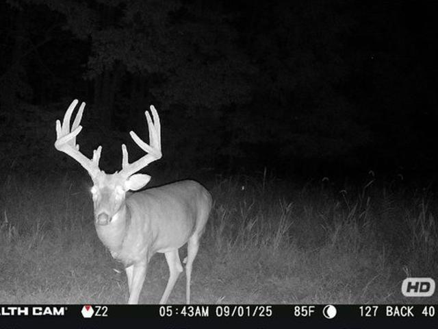 67 Ac Circle Acres Dr, Marthasville, MO 63357