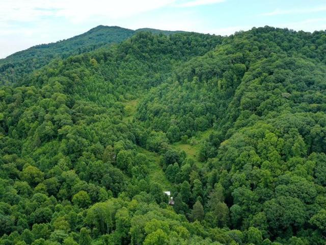 67 Acres Bowen Gap Acres Rd Lot 67, Cleveland, VA 24255
