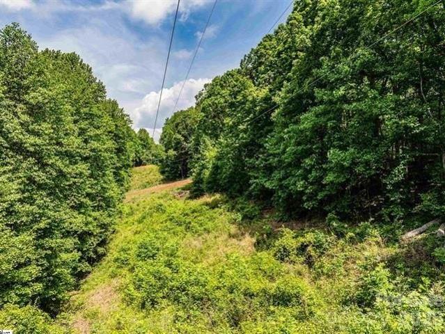 67 and 68 Wildflower Ln, Travelers Rest, SC 29690