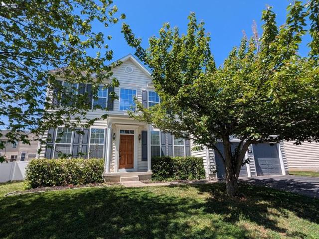 67 Augustine Court