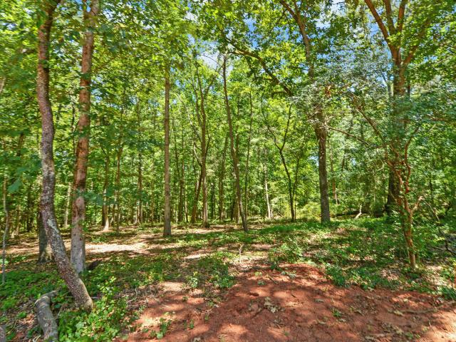 67 Blossom Trail
