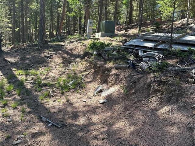 67 Gerka Ln, Florissant, CO 80816 | MLS #2778
