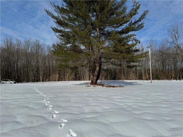 67 Jacobson Dr, Parish, NY 13131 | MLS #S1664 | Compass