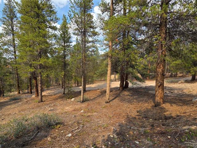 67 Lodge Pole, Twin Lakes, CO 81251 | MLS #1874