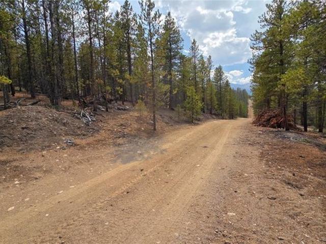 67 Lodgepole Dr Lot 45, Leadville, CO 80461