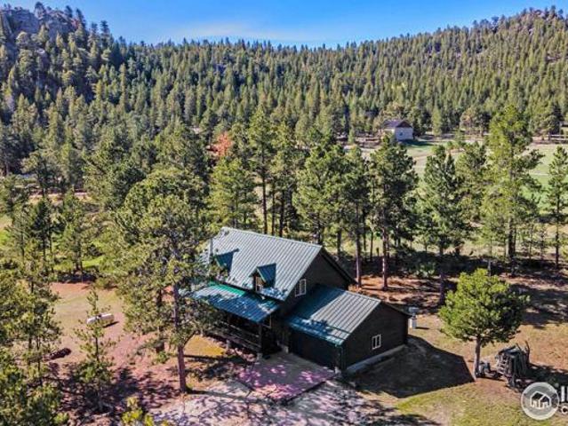 67 Mt Evans Ct, Livermore, CO 80536