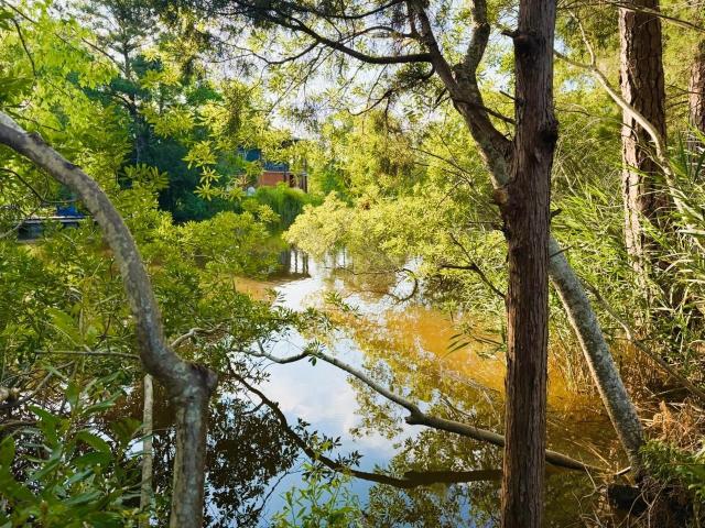 67 Ricefield Pl