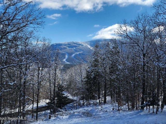 67 Summit Road