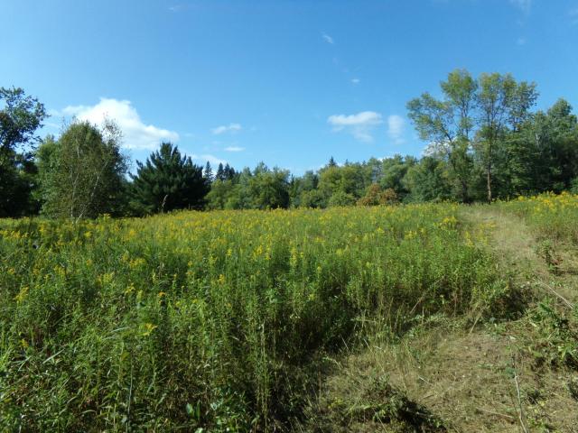 67xx Old Sawmill Road