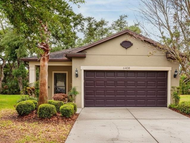 6408 Yellow Buckeye Dr, Riverview, FL 33578