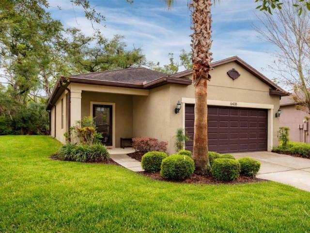 6408 Yellow Buckeye Dr, Riverview, FL 33578 | MLS #TB8497 | Compass