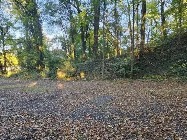 6409 GEORGIA RD, BIRMINGHAM, AL 35212 Vacant Land For Sale ML.