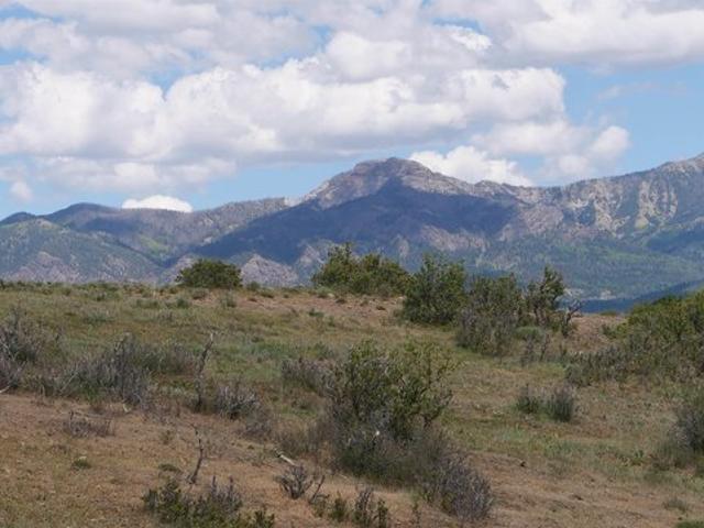 640 Irwin Pl, Pagosa Springs, CO 81147