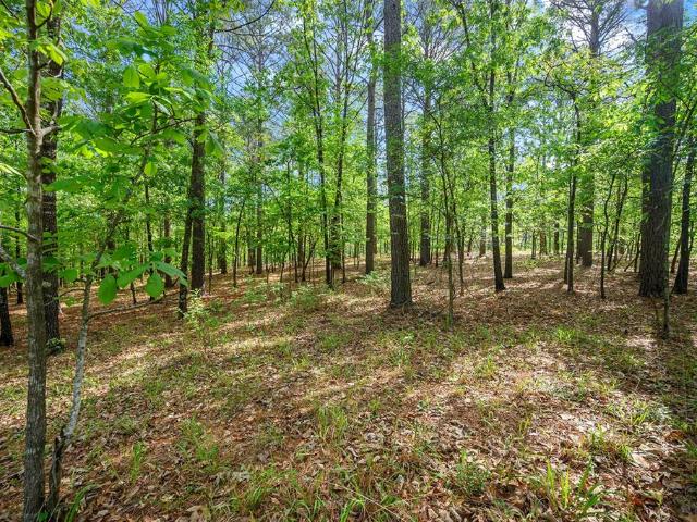 640 NE Three Creeks Road # lot 40
