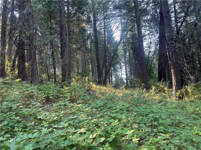 6418 Hupp Coutolenc Rd, Magalia, CA 95954 | MLS #PA24150