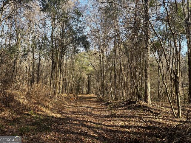6411 Columbus Rd, Lizella, GA 31052 | MLS #10684 | Compass