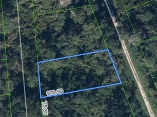 641 Cameron Ave, Lake Placid, FL 33852