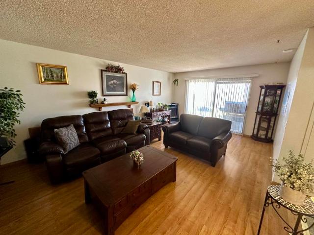 641 Ocotillo Road