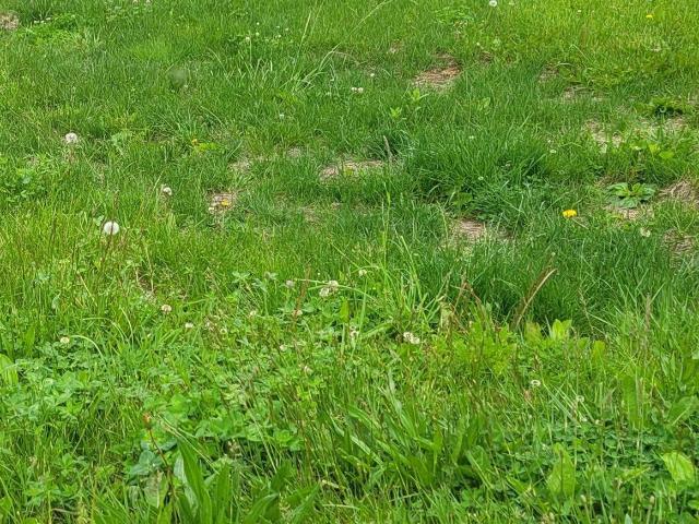 641 South Ridge Park Sub