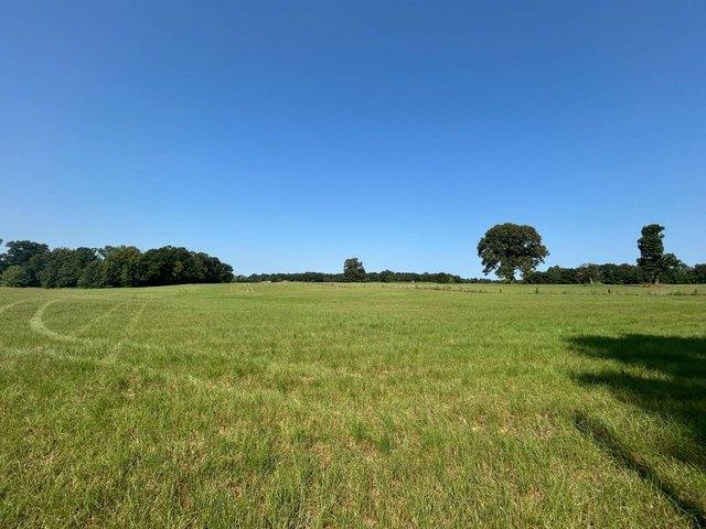 6425B W Creek Rd, Ozark, AR 72949