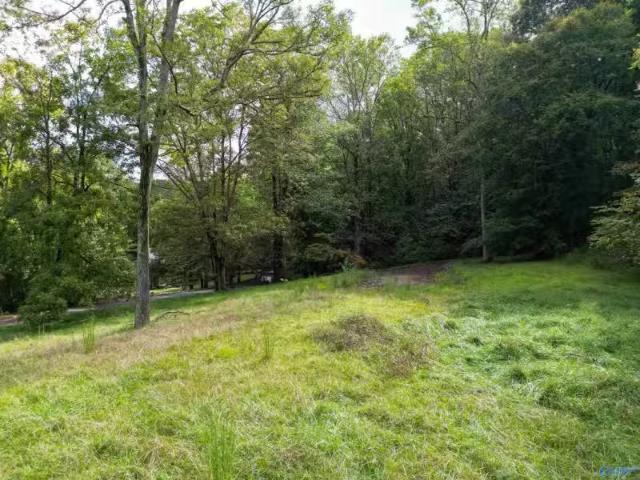 6423 DOGWOOD LN NW, FORT PAYNE, AL 35967