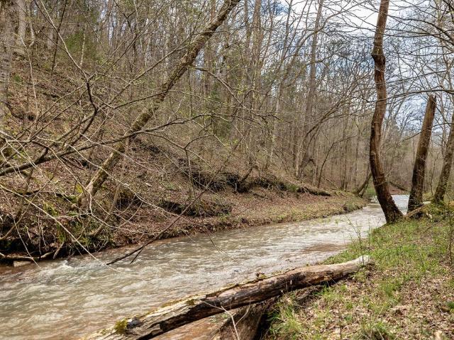 642 Goodman Branch Rd, Hohenwald, TN 38462 | MLS #2822 | Compass