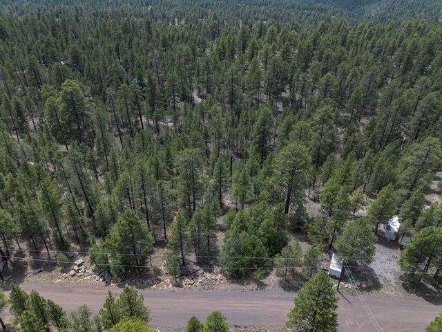 642 Jacks Canyon Dr Lot 310, Happy Jack, AZ 86024