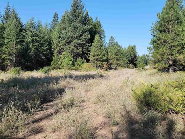 642 Overlook Dr, Newport, WA 99156