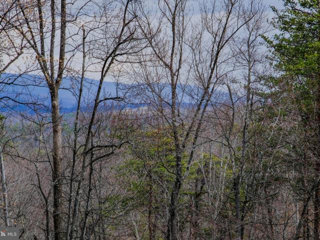 642 Paddys Run Rd, Star Tannery, VA 22654 | MLS #VAFV2040