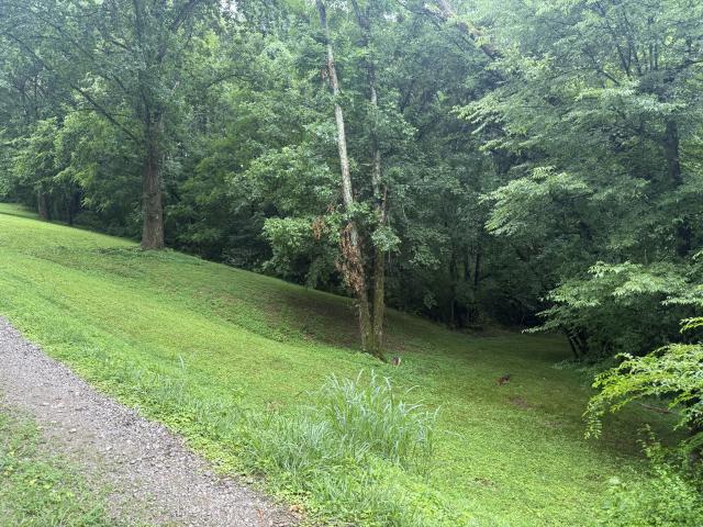 6437 Peytonsville Arno Rd