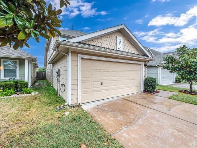 6430 Wilshire Fern
