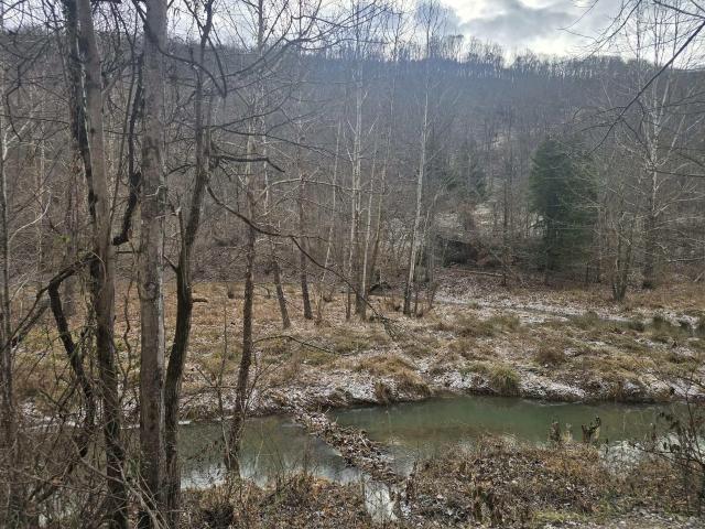 6431 Snake Hollow Road