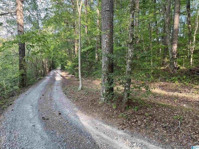 6446 Trussville Clay Rd Lot 6446, Trussville, AL 35173