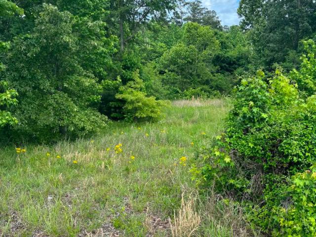 6447 Alabama Highway 227