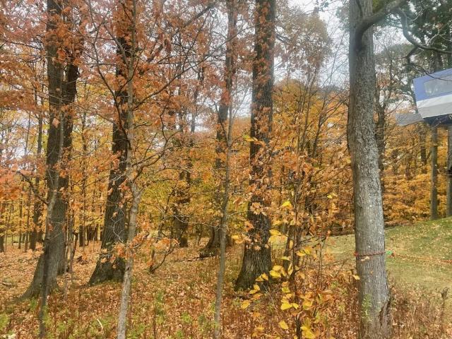 6449 Co Rd 21