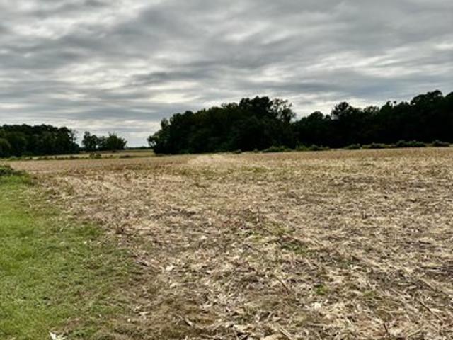 644 Cherry Town Rd, Hallsboro, NC 28442