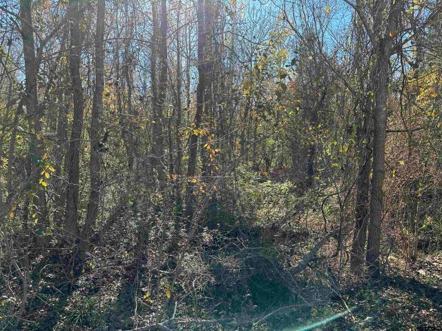 644 Balmorea Dr, Bullard, TX 75757 | MLS #26002 | Compass