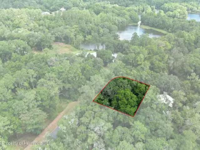 644 W LIGHTWOOD ST, DUNNELLON, FL 34434 Vacant Land For Sale.