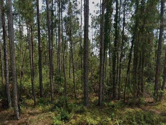 6450 Merrick Dr, Sebring, FL 33872