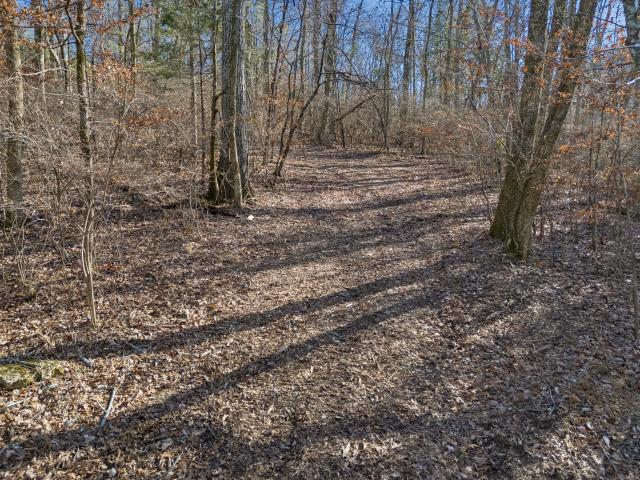 6450 Log Cabin Trail, Brentwood, TN 37027 | MLS #1537