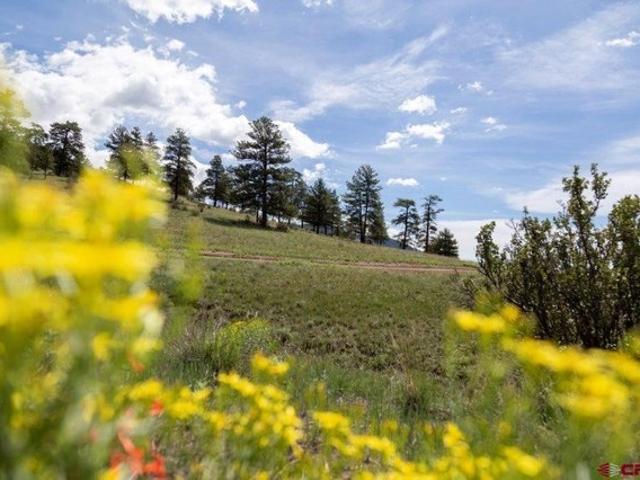 645 Cliff View Dr, Creede, CO 81130