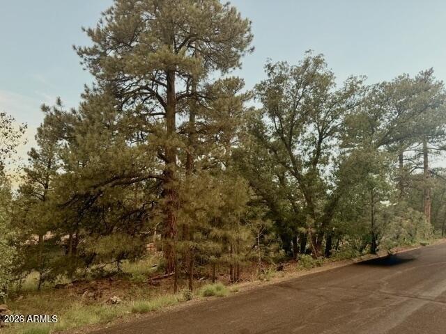 645 E Trout Creek Rd Unit 41, Munds Park, AZ 86017