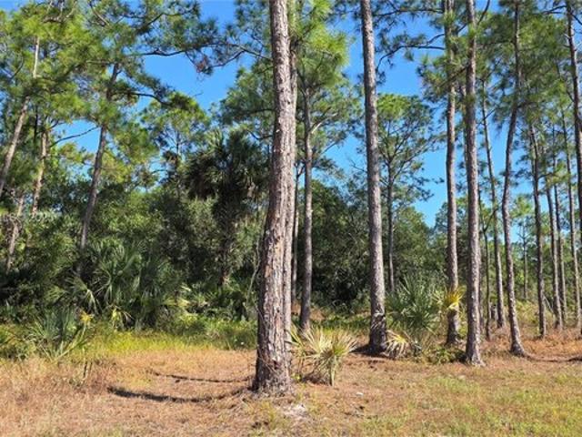 645 S Jasmine St, Clewiston, FL 33440