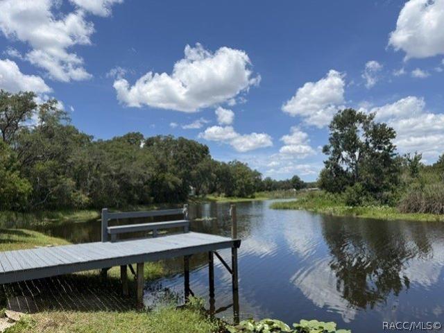 6466 N Lakeside Dr, Hernando, FL 34442